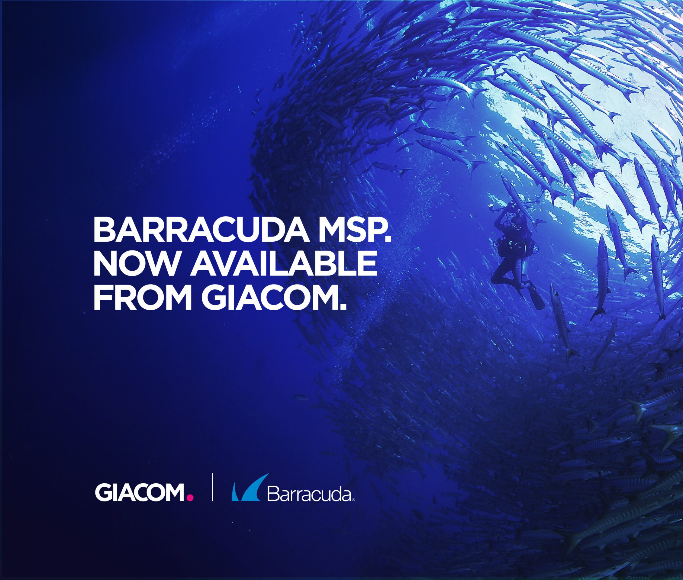 Giacom welcomes Barracuda to its cyber security portfolio - Giacom