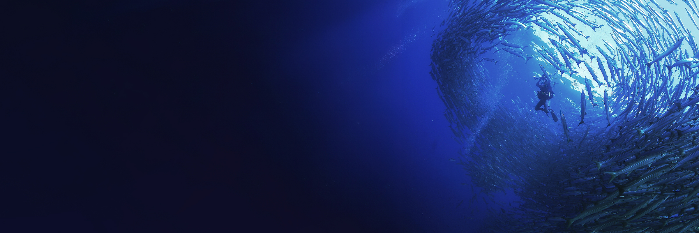 Barracuda Partner Onboarding - Giacom