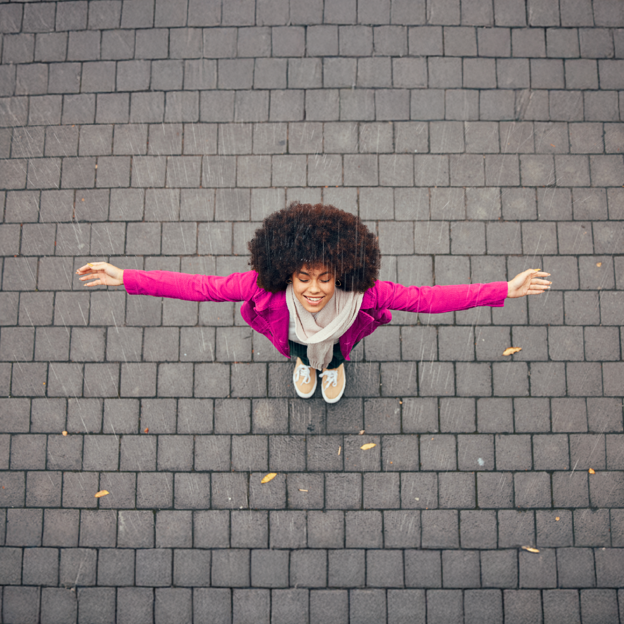 Microsoft 365 Business Premium - Defender and Purview Bundles - Giacom